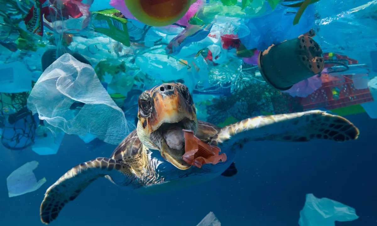 Earth's Looming Plastic Crisis: The Inception of 'Plastic Overshoot Day ...