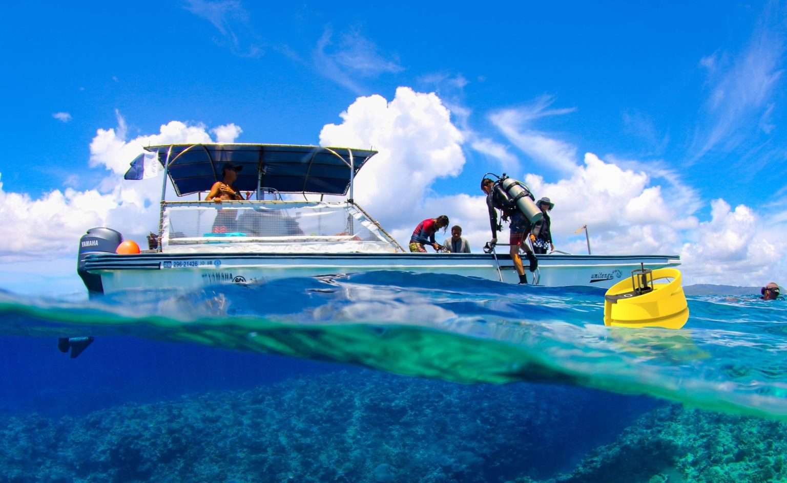 Shark Deterrent Devices: A Comprehensive Overview – Sailing Click